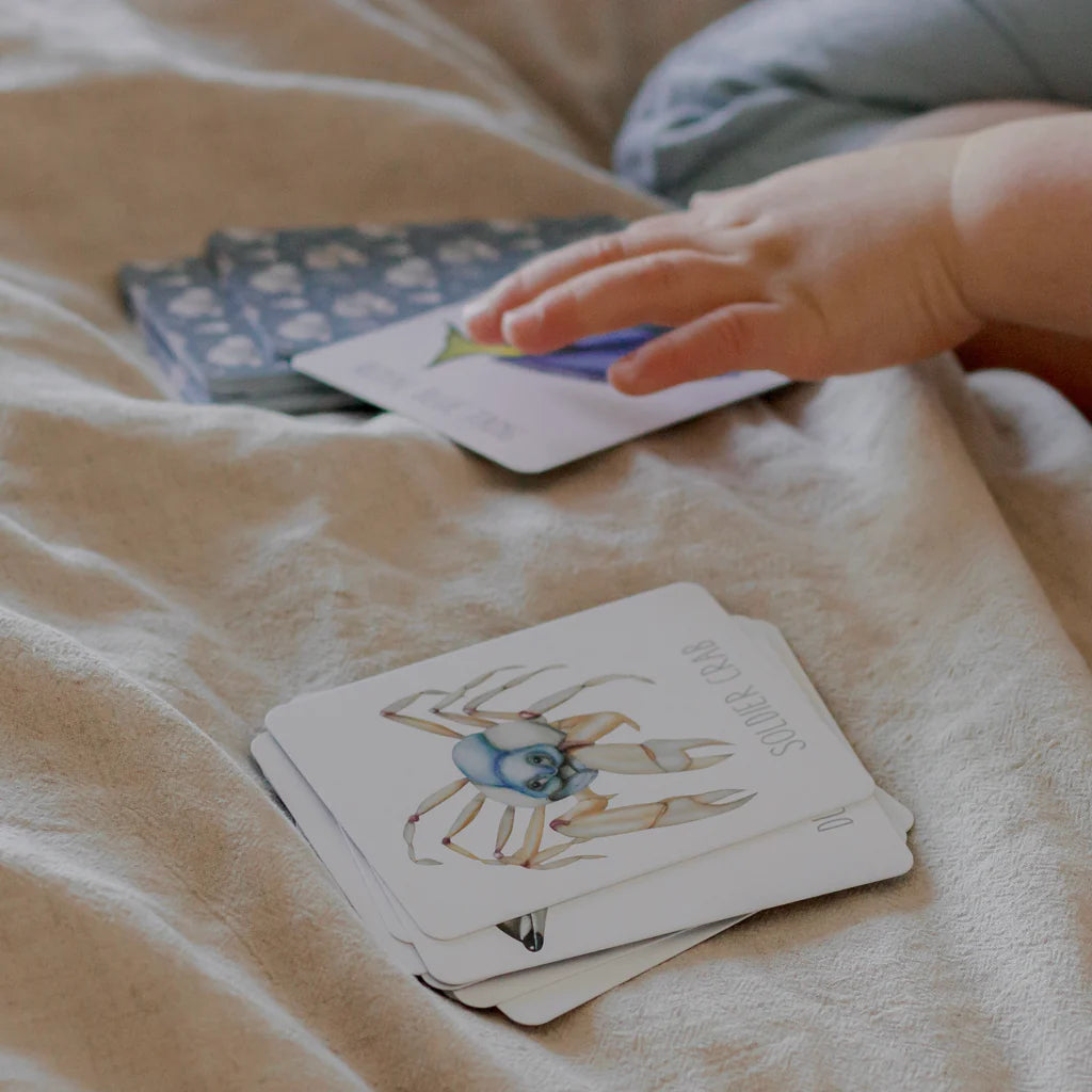 Ocean Snap & Go Fish | KAHM Co